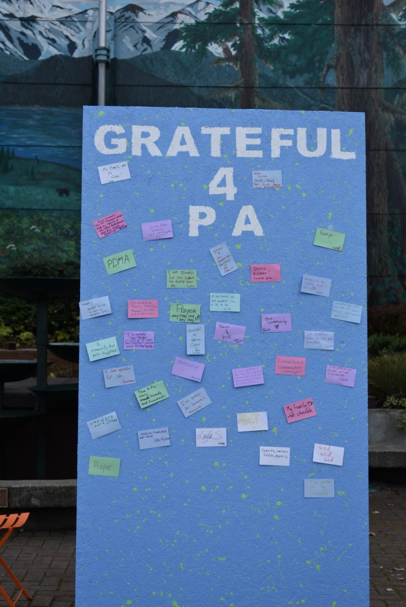 The Grateful wall – Rocky Mountain Sunshine